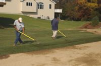 Turf Inc RI Turf and Sod Farm Sales and Installation