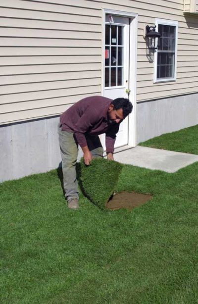Sod Installation Guide | Turf Inc RI Turf and Sod Farm